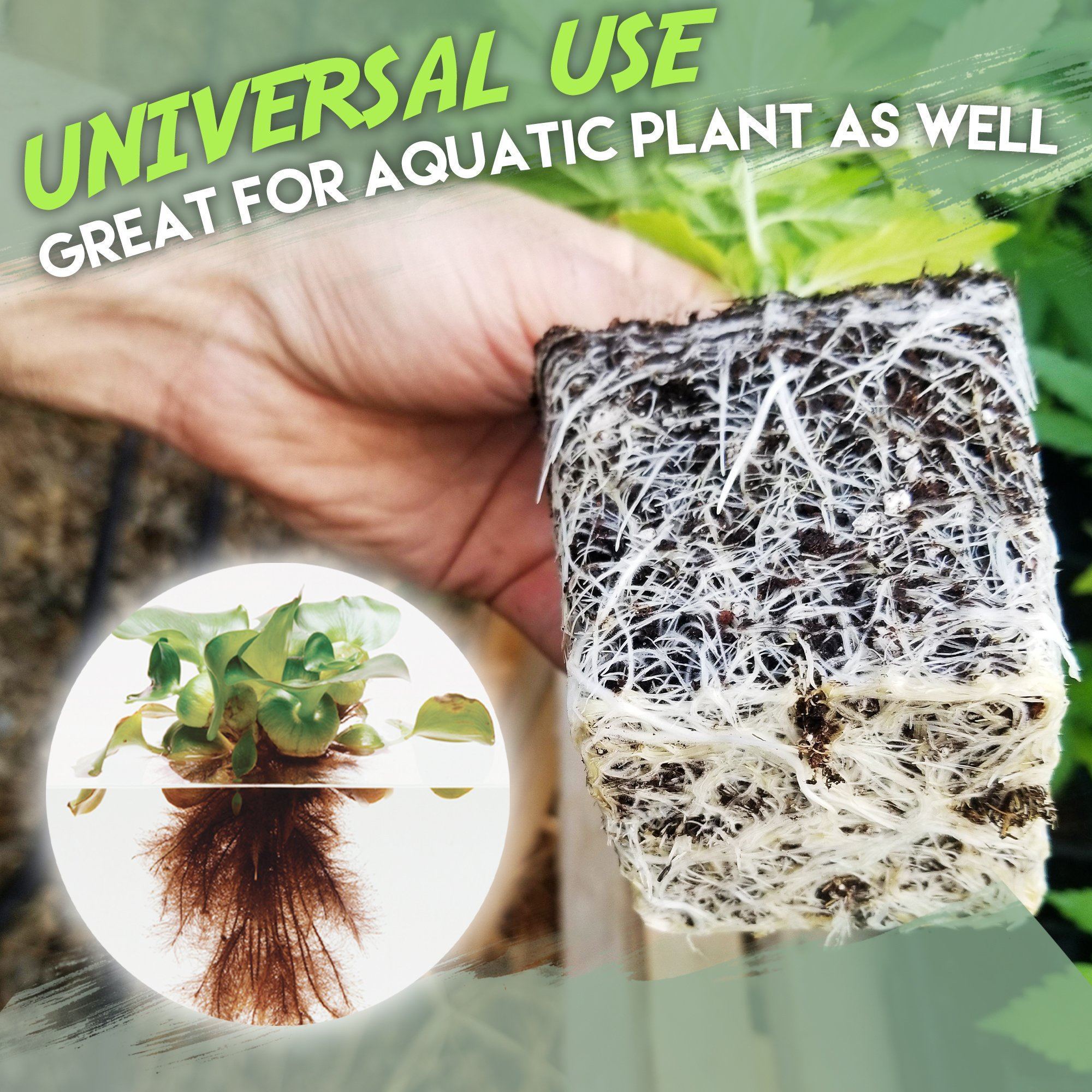 Rapid Rooting Powder - shoprima